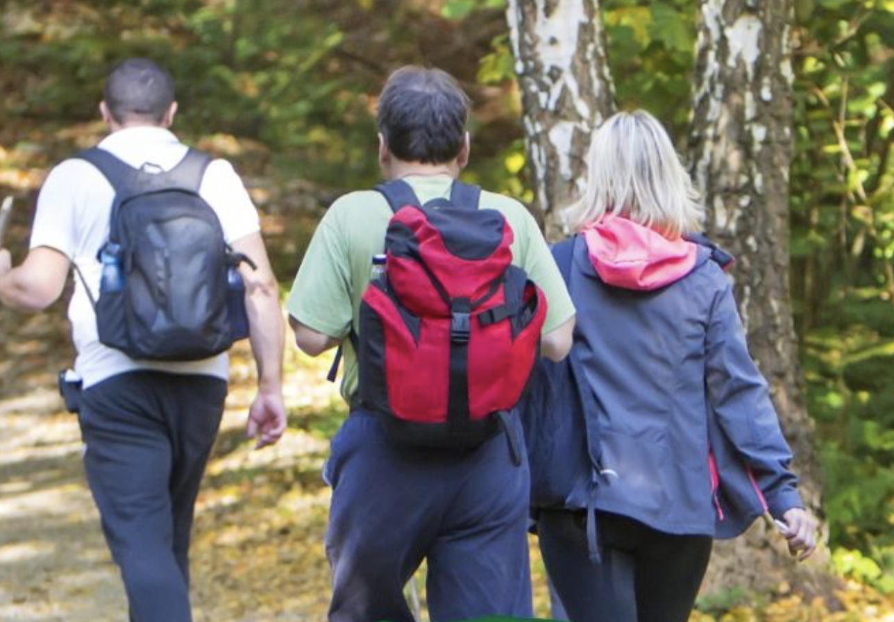 The Healthy Eating Walk - Appennino Emilia